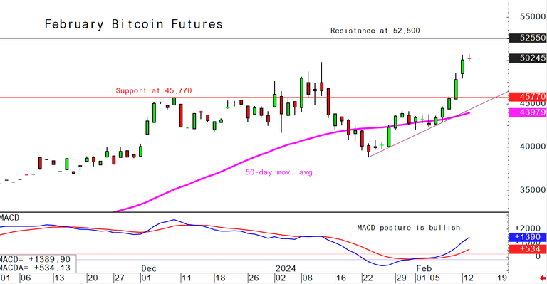 Bitcoin February 13 daily chart alert - Bulls in firm command | Kitco News