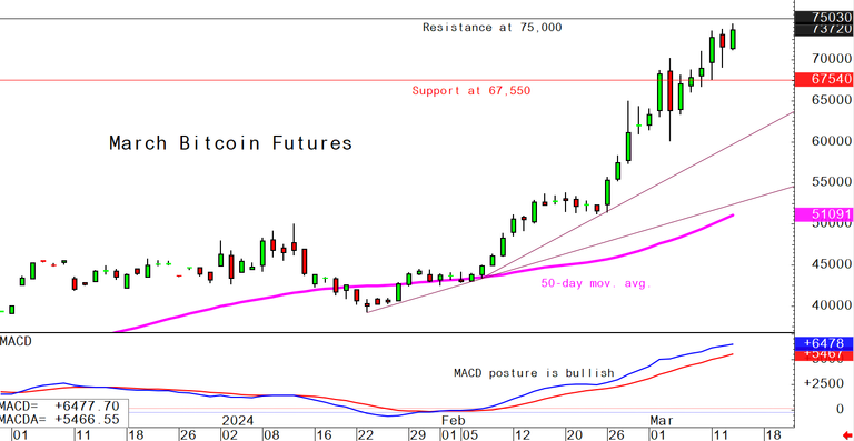 Bitcoin March 13 daily chart alert - Bulls flex their muscles | Kitco News